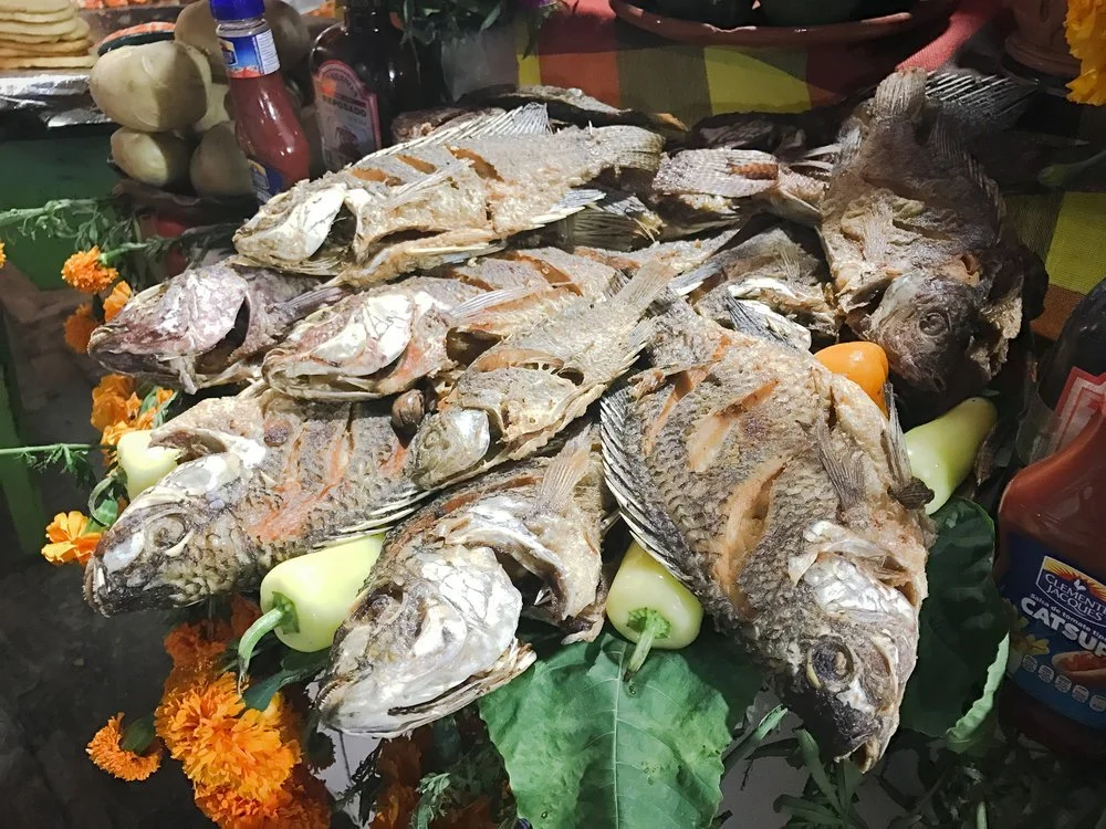 Experience: Michoacan and Day of the Dead — Spanish and Go