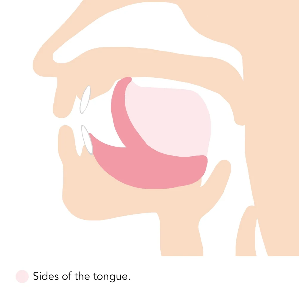 How to Roll Your Rs Like a Native [Definitive Guide + Drills] — Spanish ...