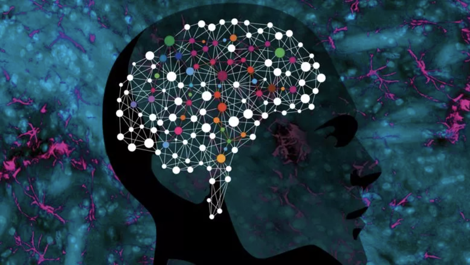 Brain Circuits of Cognition — CSI lab