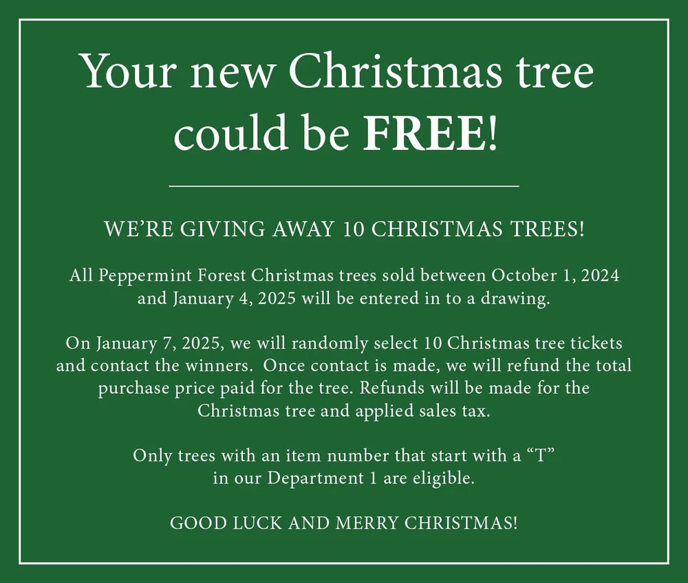 Christmas Trees — Peppermint Forest