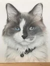 Studio Update // Spring 2018 — Kit Gray Illustration