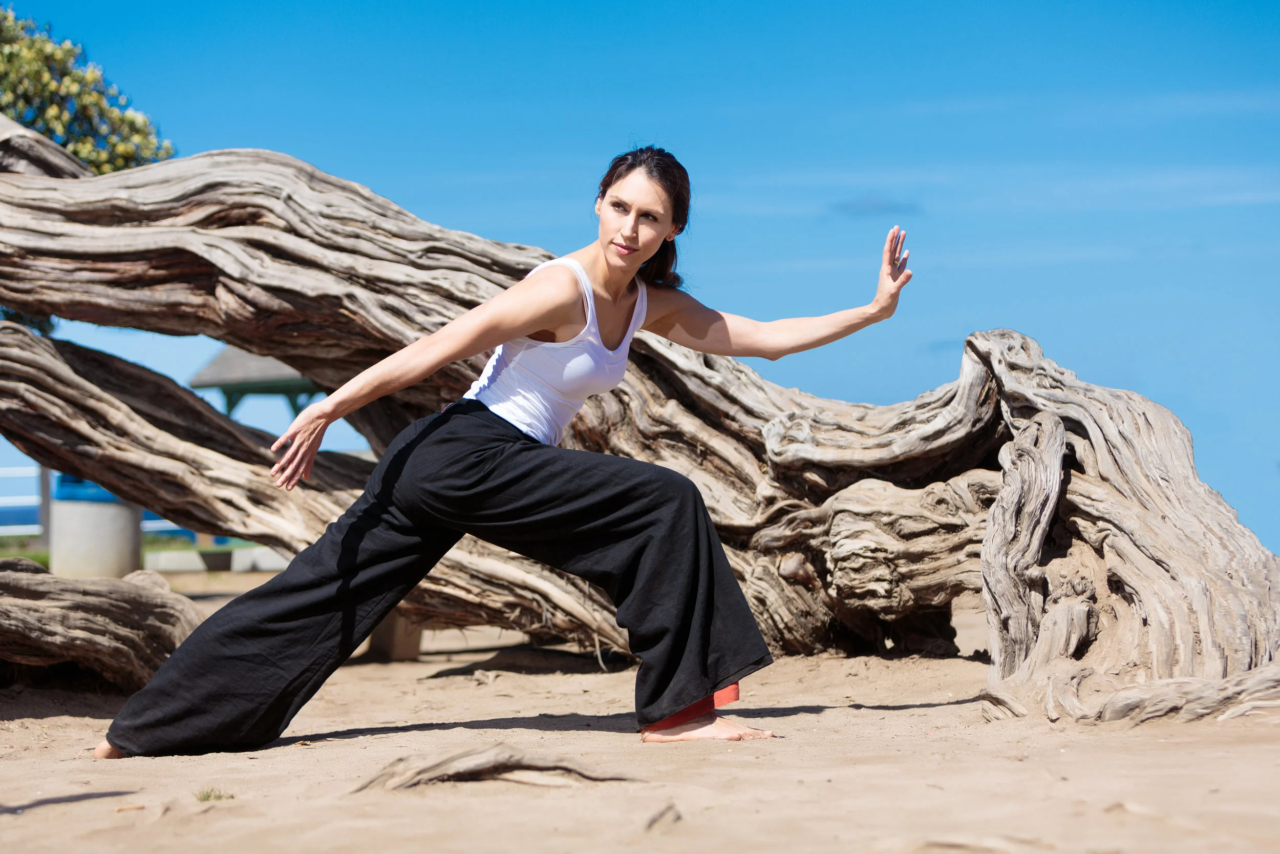 FREE VIDEOS — YOQI