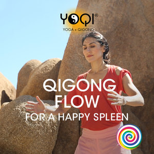 DESIGNING YOUR PERSONAL QIGONG PRACTICE — YOQI