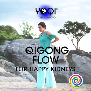 DESIGNING YOUR PERSONAL QIGONG PRACTICE — YOQI