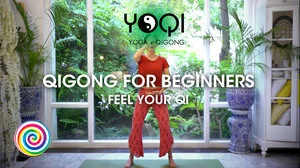 TEST YOUR QI — YOQI
