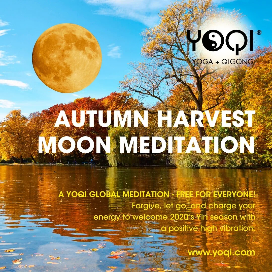 AUTUMN FULL MOON MEDITATION — YOQI