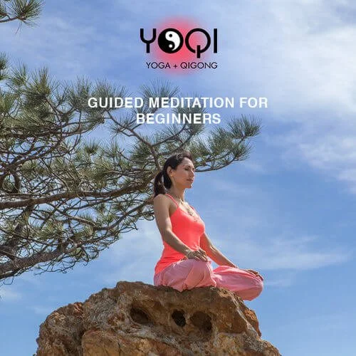 YOQI Audio Downloads: Immerse Yourself in the Healing Power of Sound — YOQI