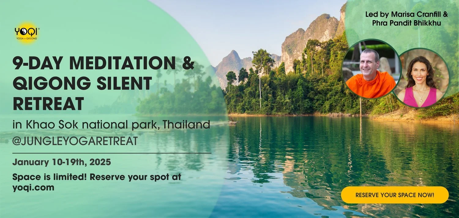 Discover Qigong: Videos, Exercises, Meditation for Beginners | YOQI