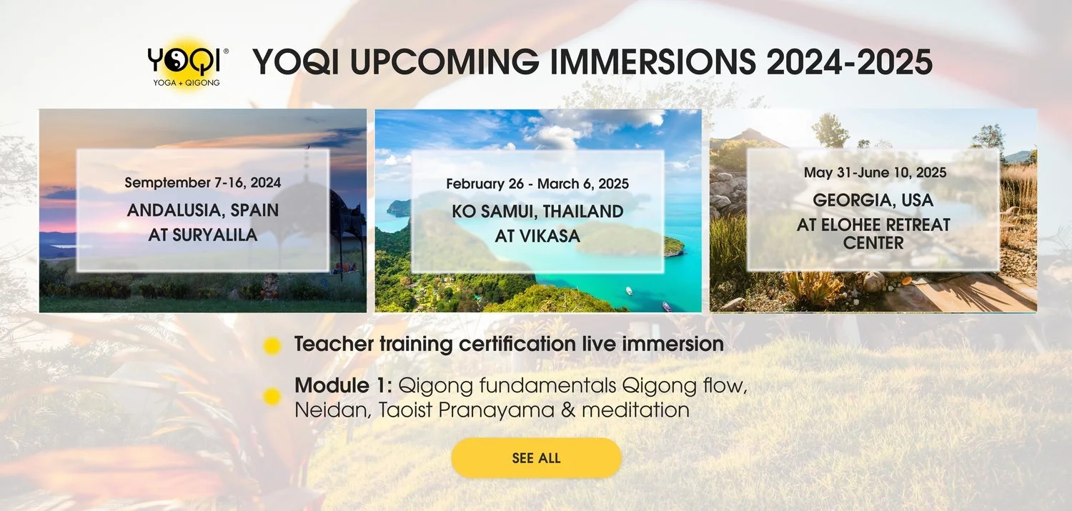 Discover Qigong: Videos, Exercises, Meditation for Beginners | YOQI