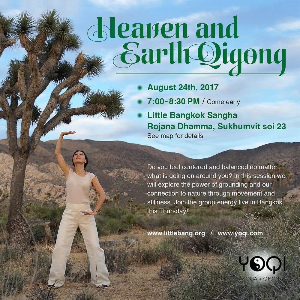 Qigong Classes & Workshops | YOQI Qigong for Beginners — YOQI