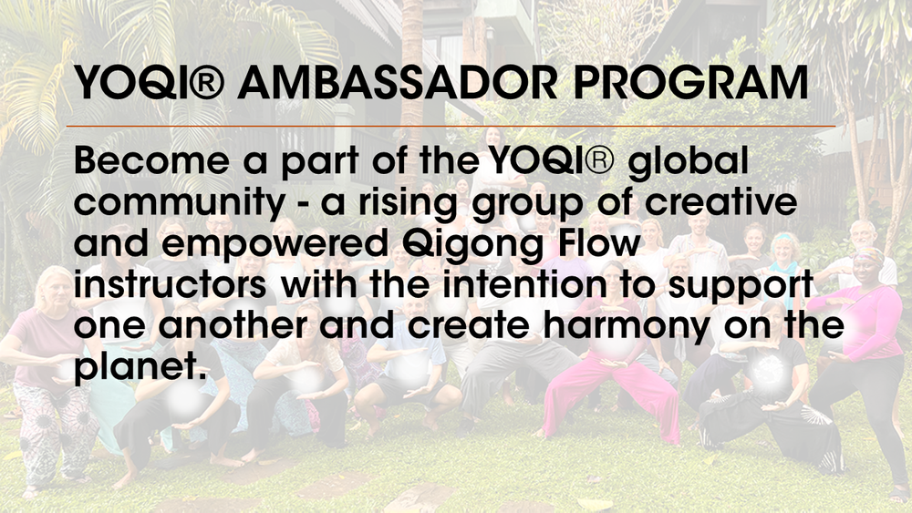 Qigong Instructor Guidelines | YOQI Qigong Teaching Tips — YOQI