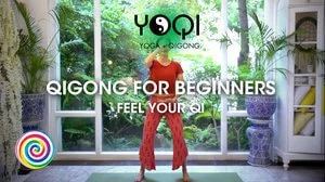 Test Your Qi | YOQI Qigong Test & Assessment — YOQI