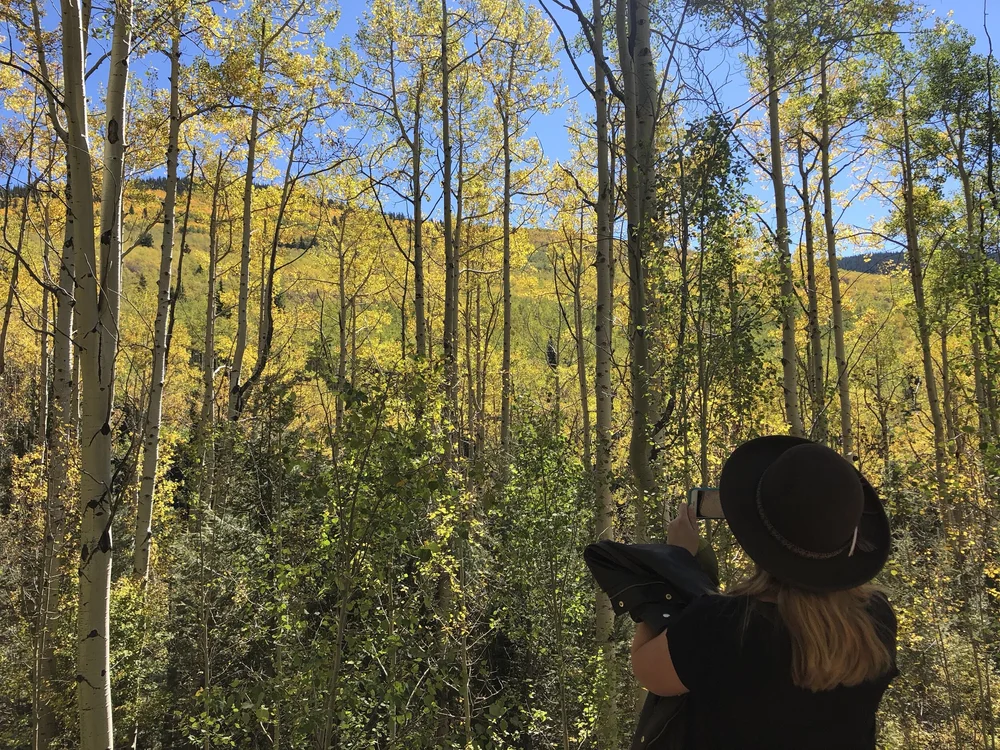 How to Spend Fall in Santa Fe — Wander New Mexico Food Tours