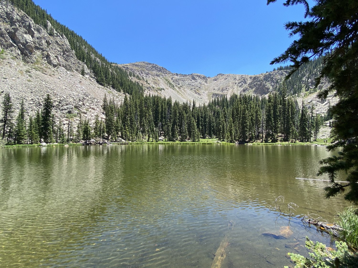 The Best Lakes in New Mexico — Wander New Mexico Food Tours