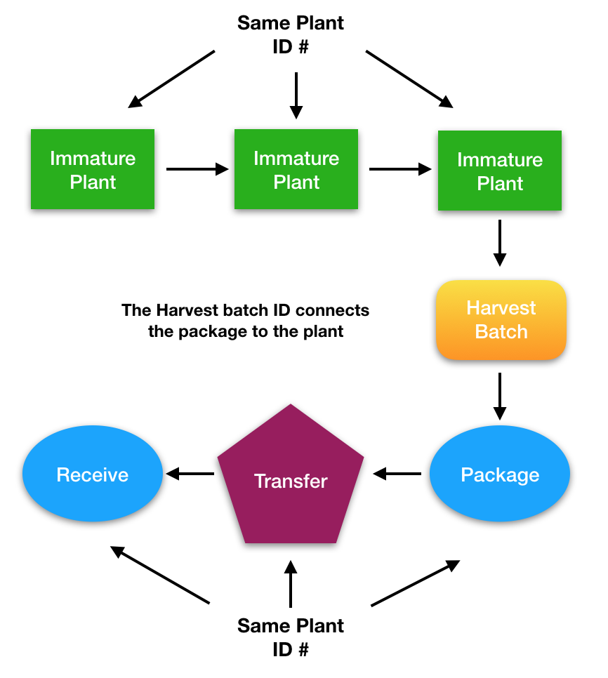 Metrc California: Simple Compliance Info and Resources | Distru