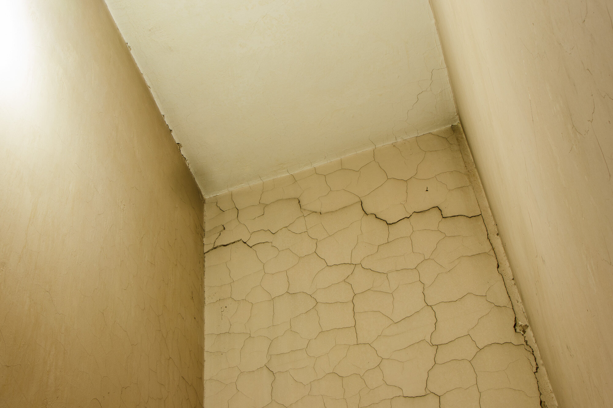 LIVING LIBRARY — All Things Living, All Things Dead