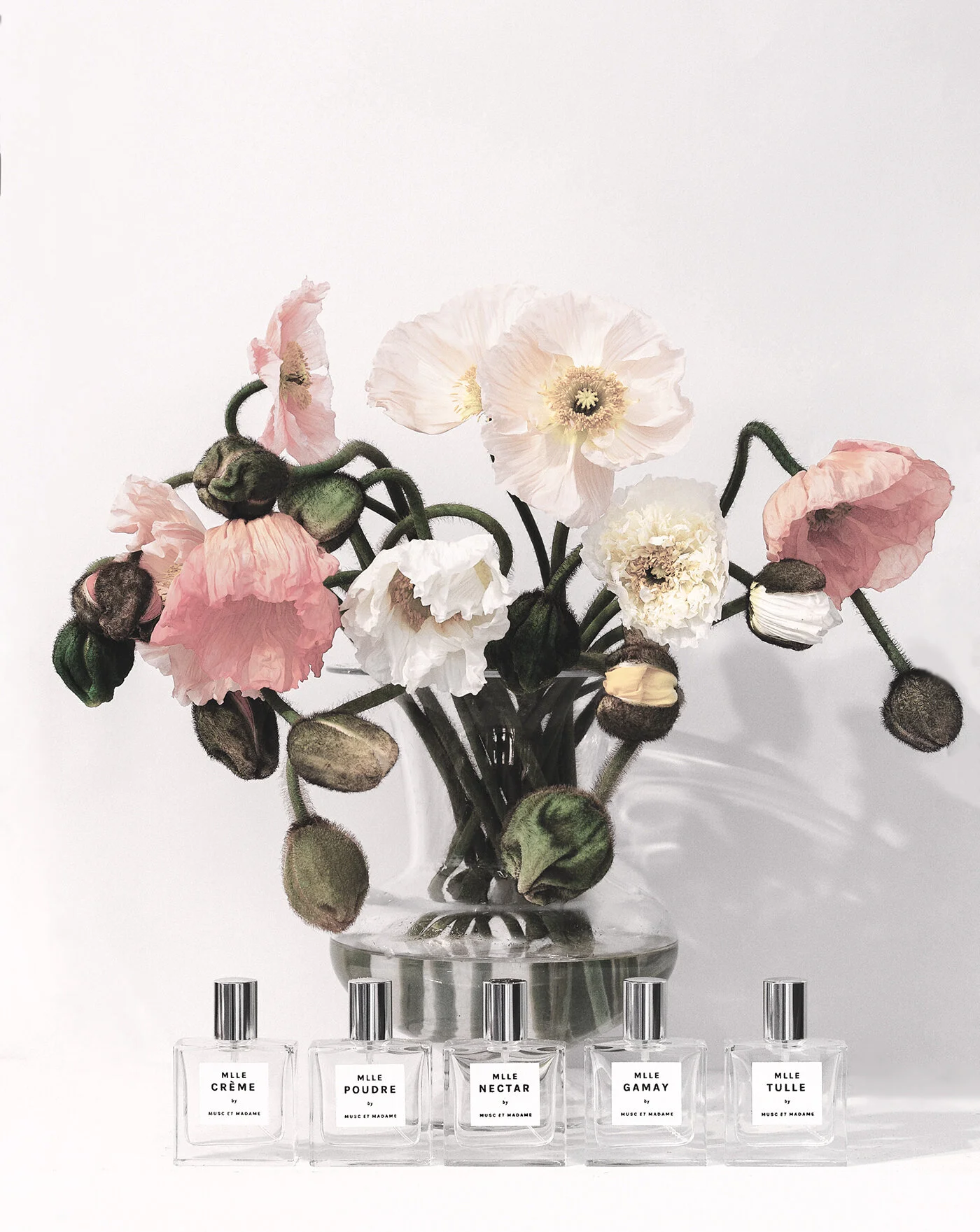 MLLE Crème | CAPSULE PARFUMERIE