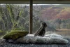 Red Kite Barn — Chillderness