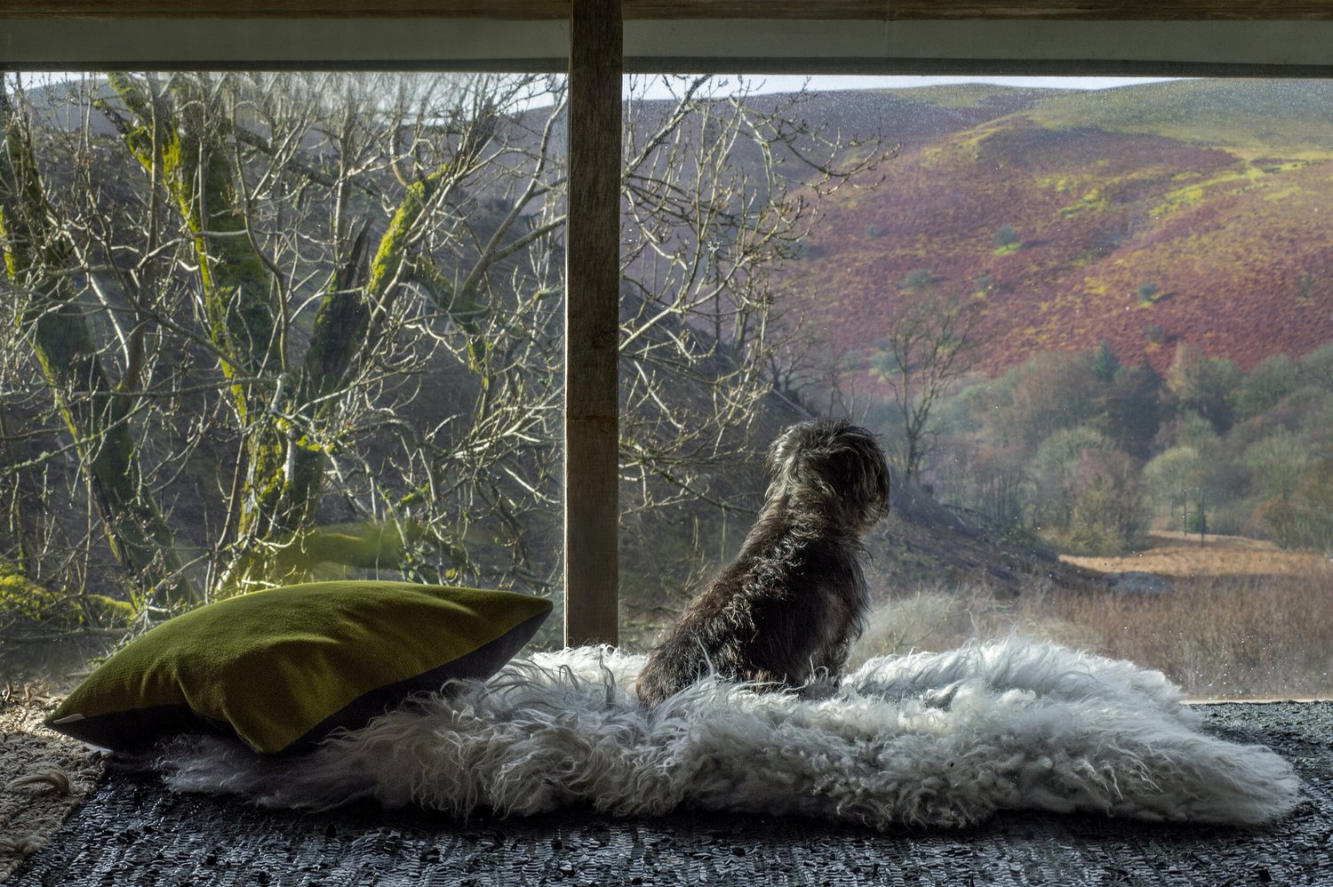 Red Kite Barn — Chillderness