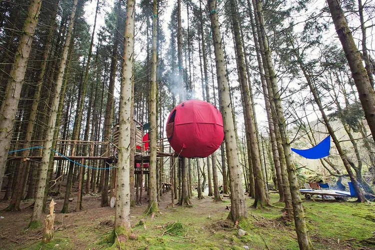 Red Kite — Chillderness