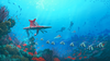 Oceans back from the brink — Radical Ocean Futures