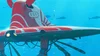 Oceans back from the brink — Radical Ocean Futures