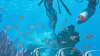 Oceans back from the brink — Radical Ocean Futures