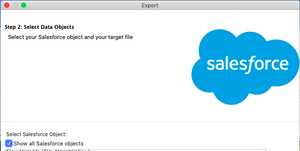 Exporting Salesforce Field Level Security and Object Access with the ...