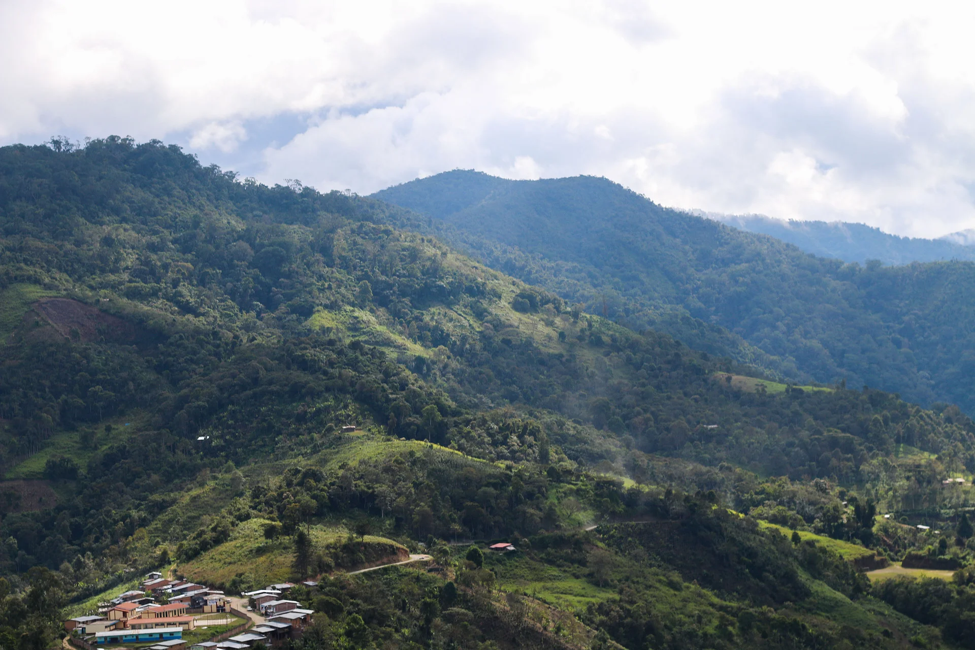 Roastery 7 | Wholesale Coffee Roasting