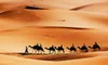 Arabie – bazar w Marrakeszu — Agar i Piżmo
