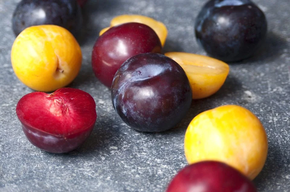 Bois d’Ombrie – w lasach Umbrii — Agar i Piżmo