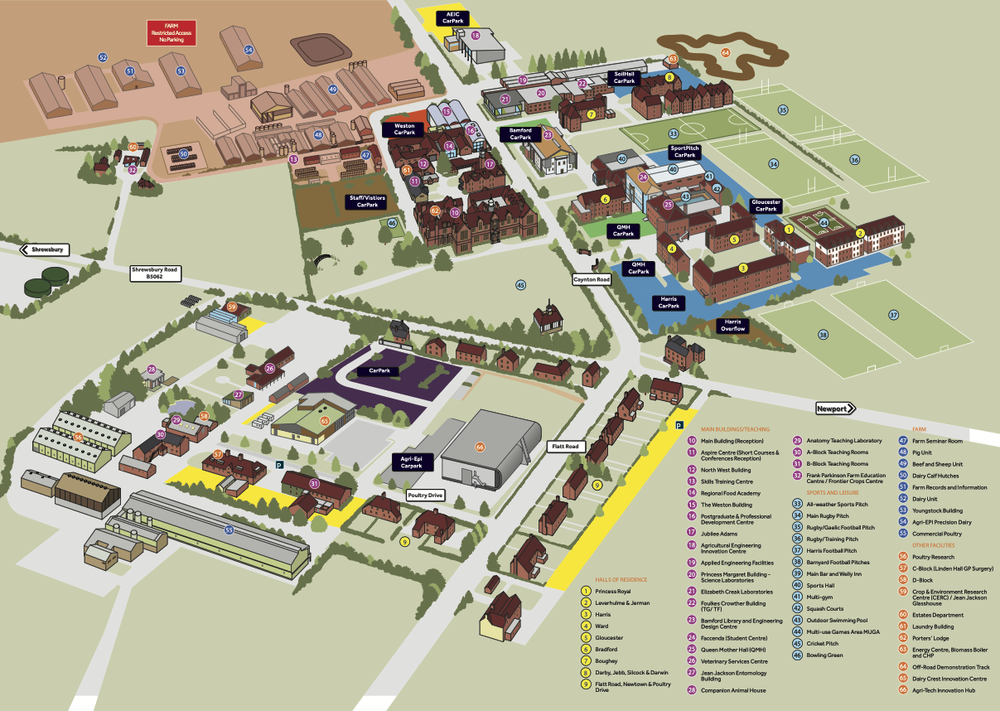 UNDERSTAND YOUR HORSE – How horses learn