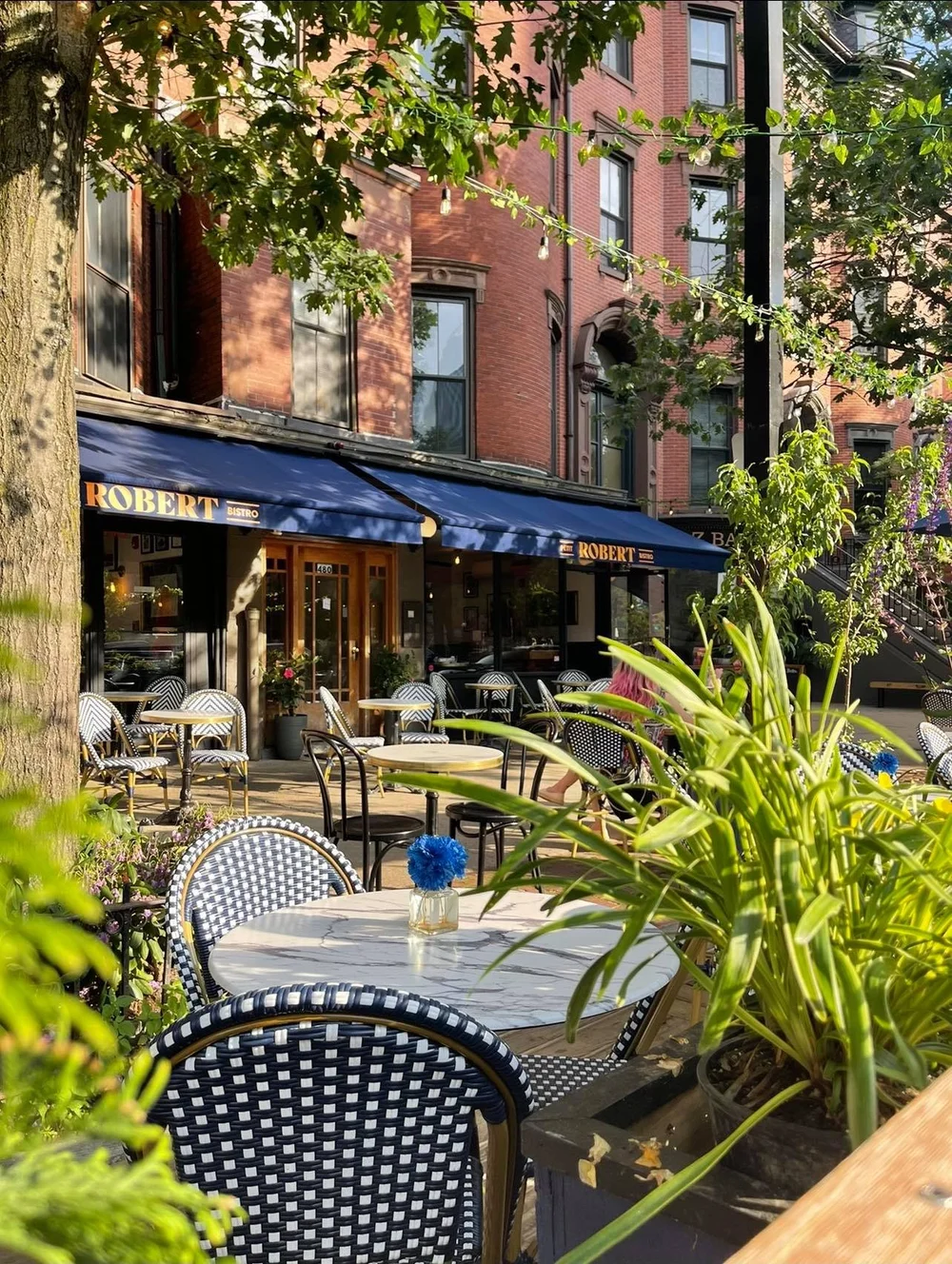 Petit Robert Bistro | Boston French Bistro