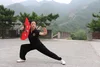 Wulong Tai Chi Kung Fu