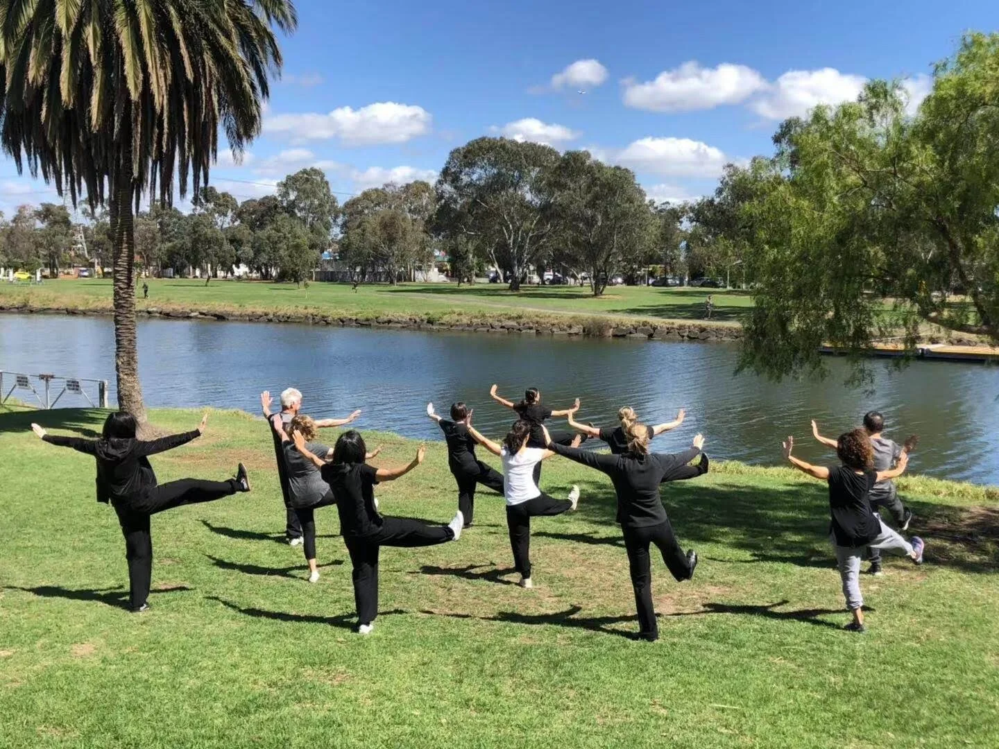 park lesson — News — Wulong Tai Chi Kung Fu