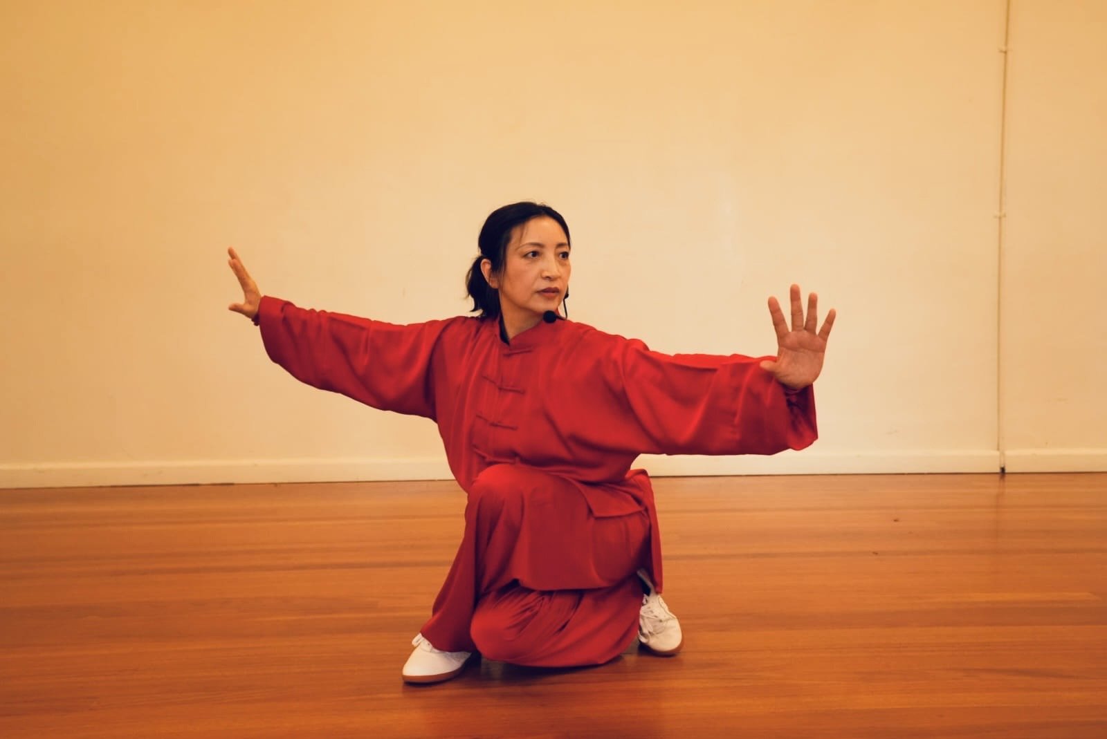 12 Steps to Harmonising Mind, Body and Energy — Wulong Tai Chi Kung Fu