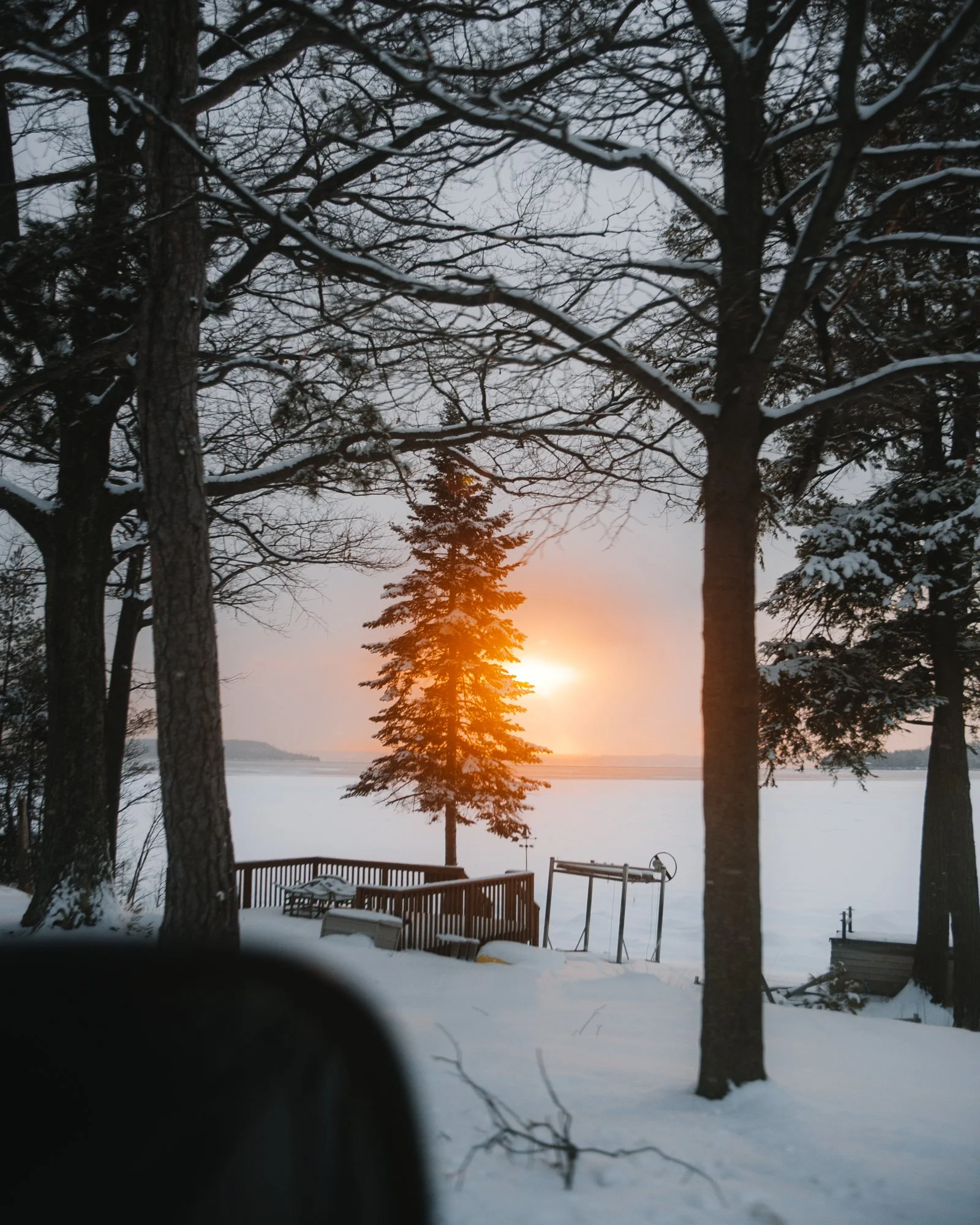 Viking Coffee CoViking Coffee Co