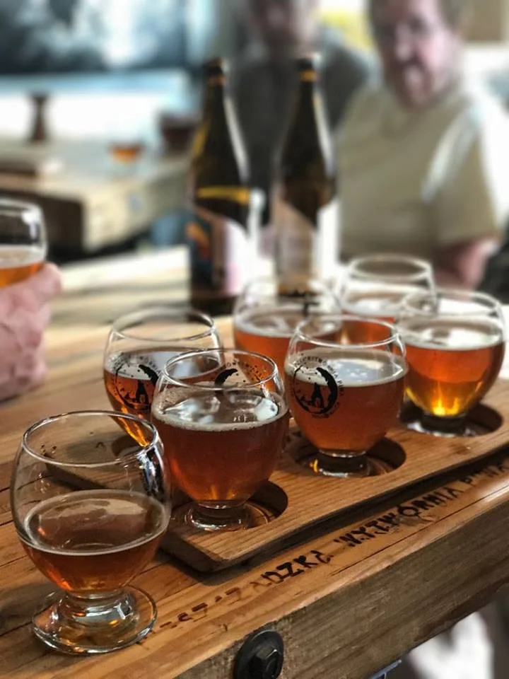 Best Places to Try Craft Beer in Krakow —Delicious Poland