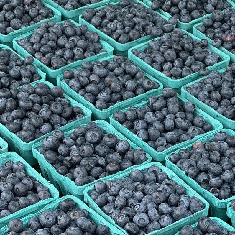 Delicious Poland | No:1 Food Tour Company in Krakow, Wroclaw, Warsaw ...