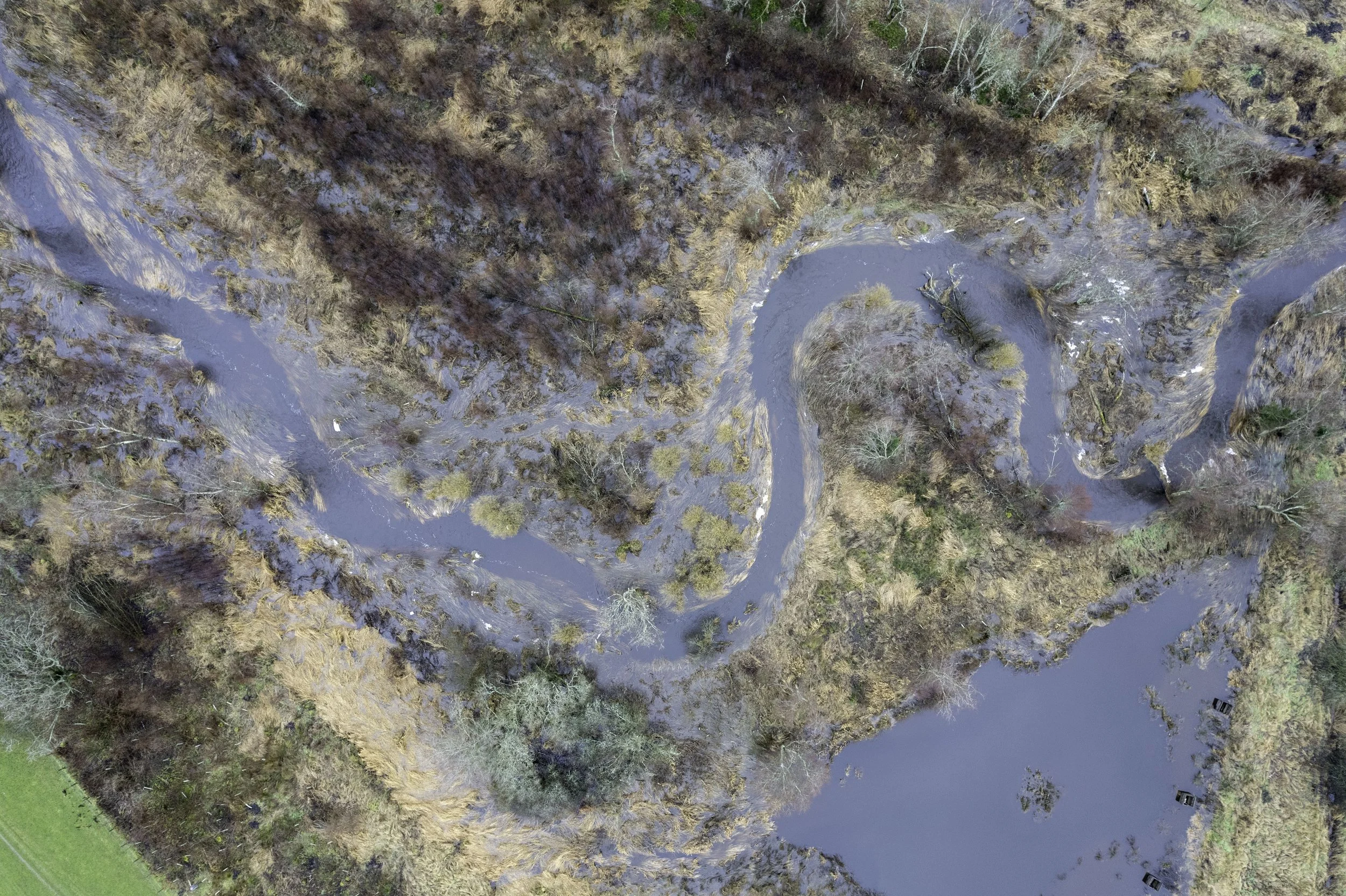 Eddleston Water December 31 2022 — Colin McLean Photography