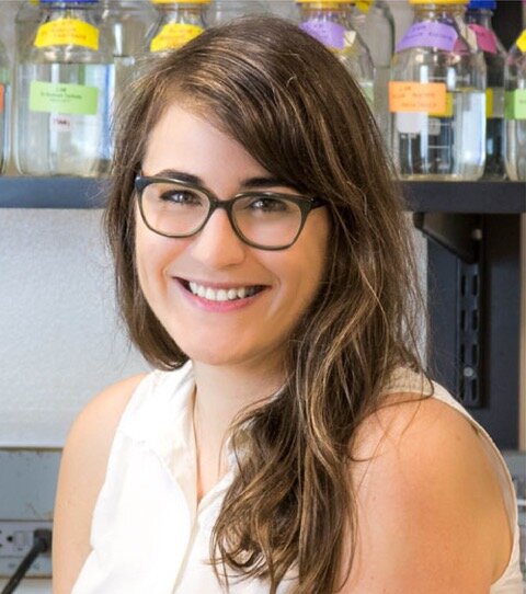 Hereditary Disease Foundation