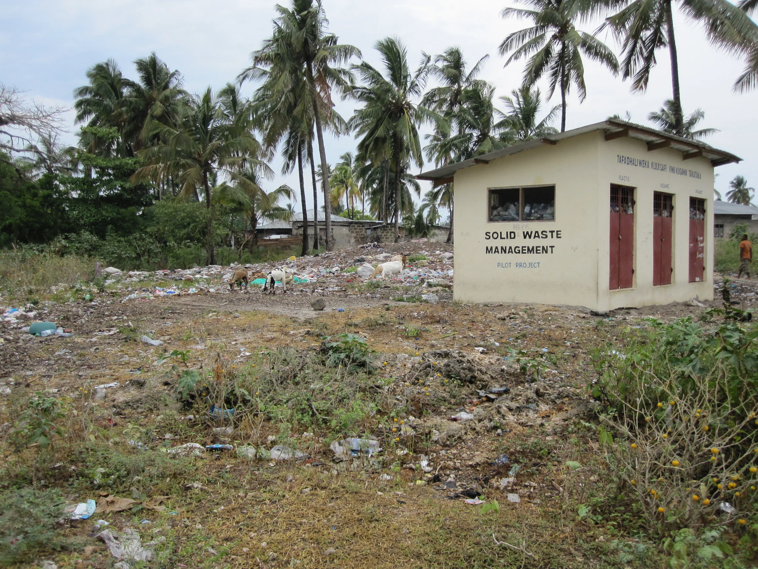 Tanzania Day 18 - Our first day in Zanzibar — Green Adrenaline