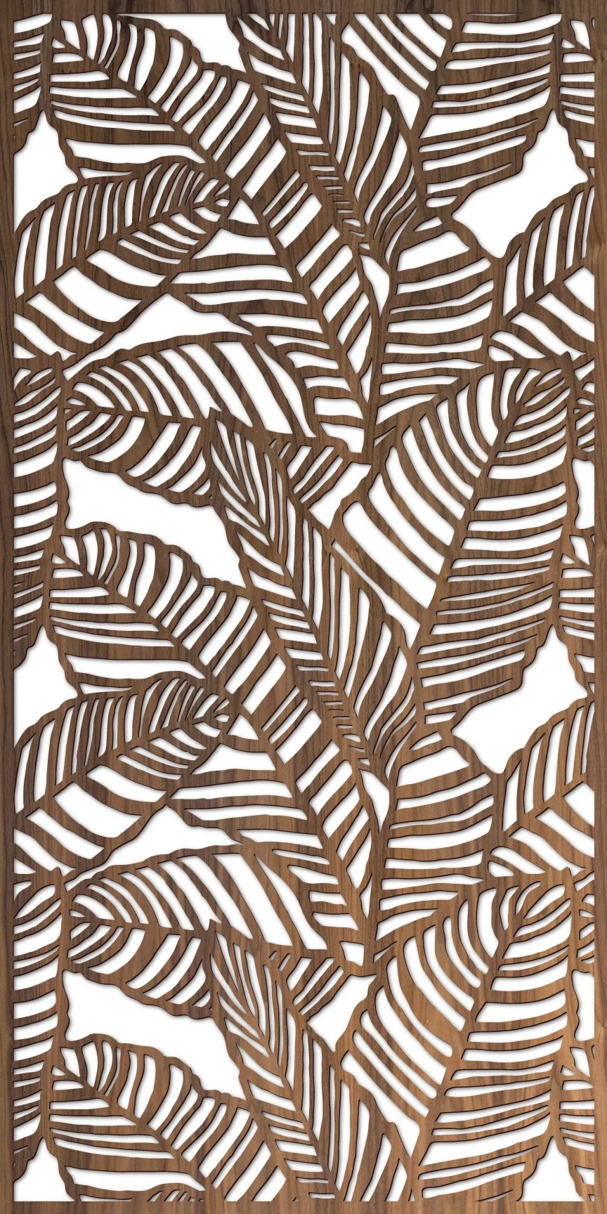 Canopy — Lightwave Laser