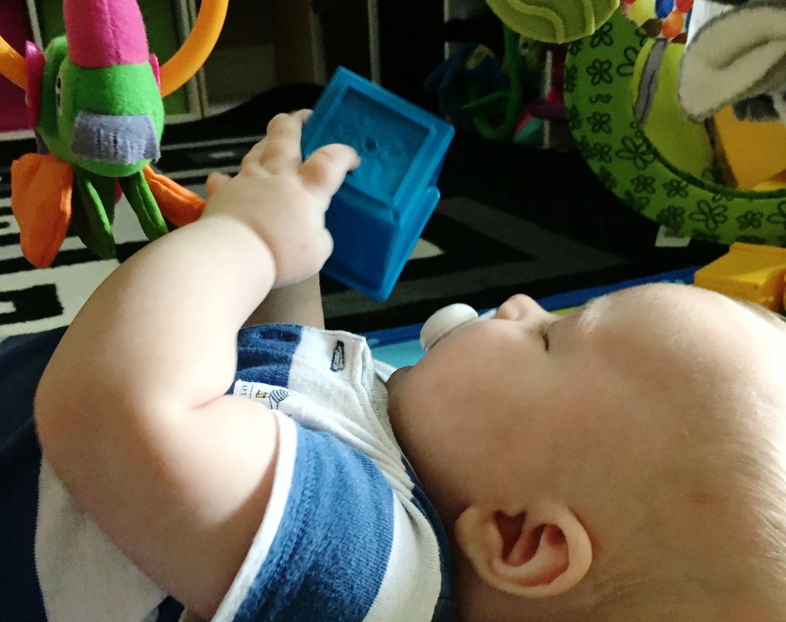 What Is Normal Development Triangle Area Parenting Support What Is Normal Development Triangle Area Parenting Support