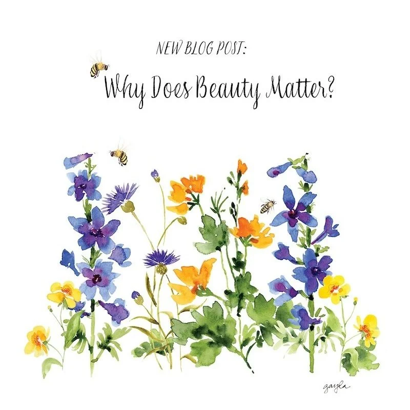 Why Does Beauty Matter? — gayla irwin