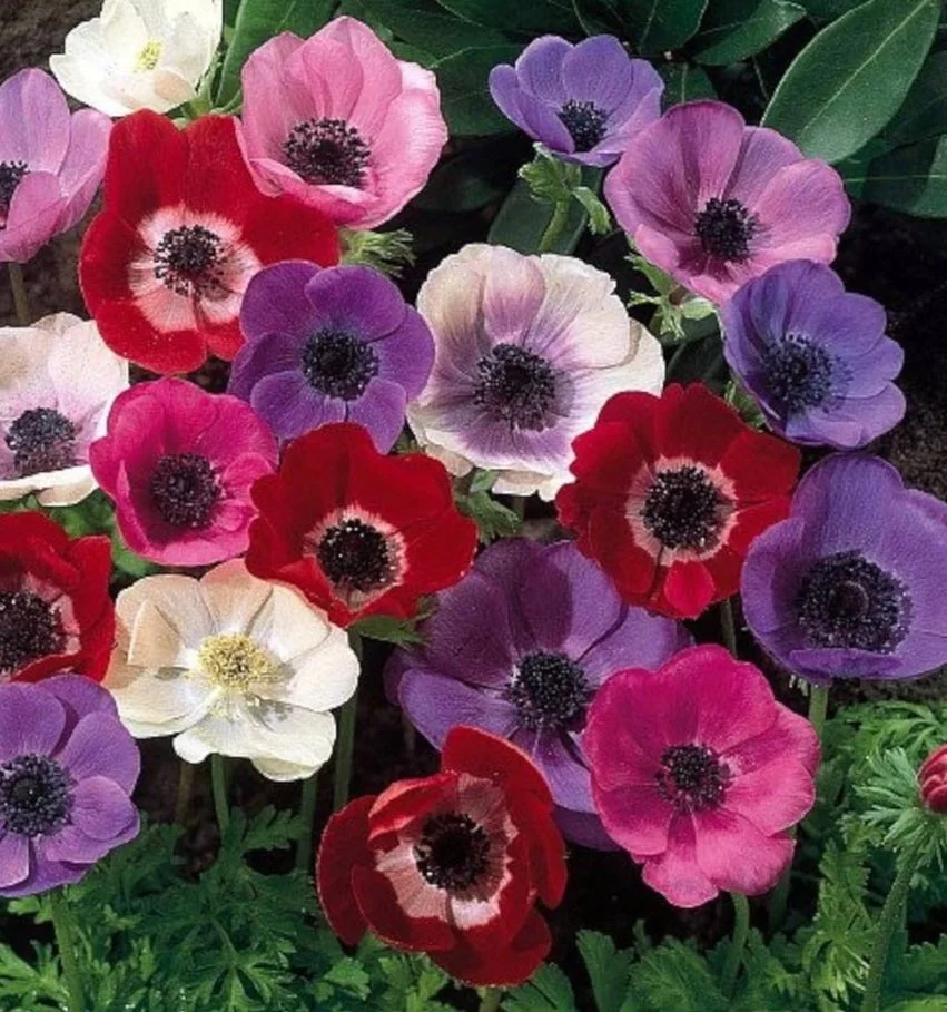 the creative way — gayla irwin