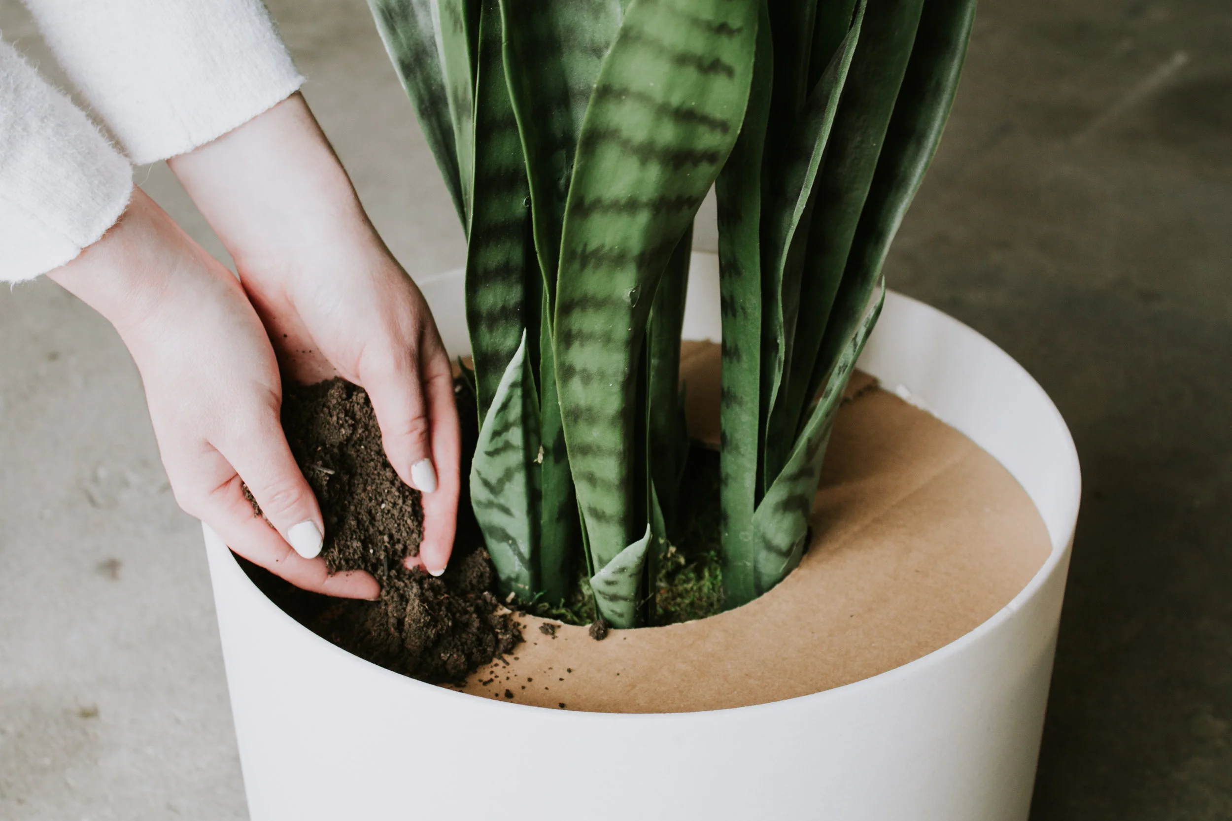 HOW TO MAKE A FAUX PLANT LOOK REAL - Nadine Stay