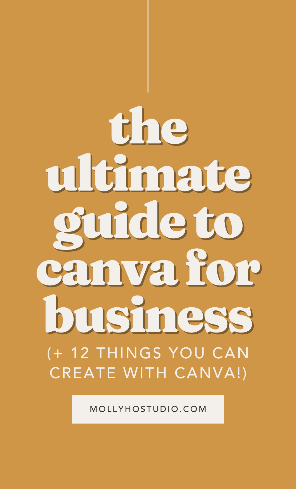 The Ultimate Guide To Using Canva For Business (+ 12 Things You Can ...