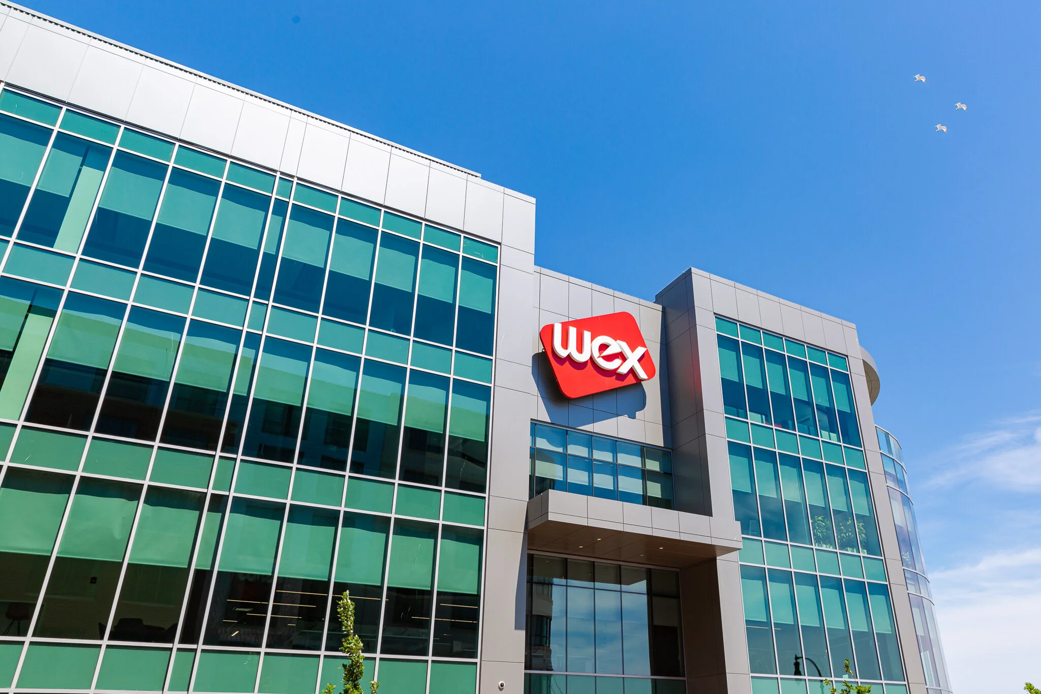 WEX Building — Metro Walls | Commercial Framing, Drywall & Acoustical