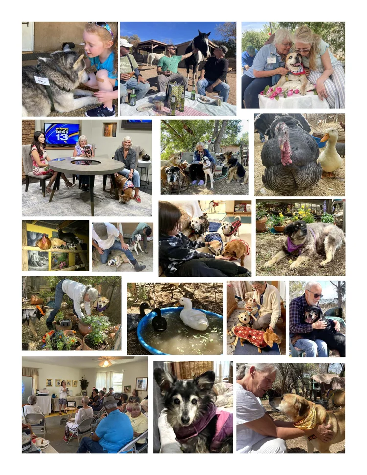 Kindred Spirits Animal Sanctuary